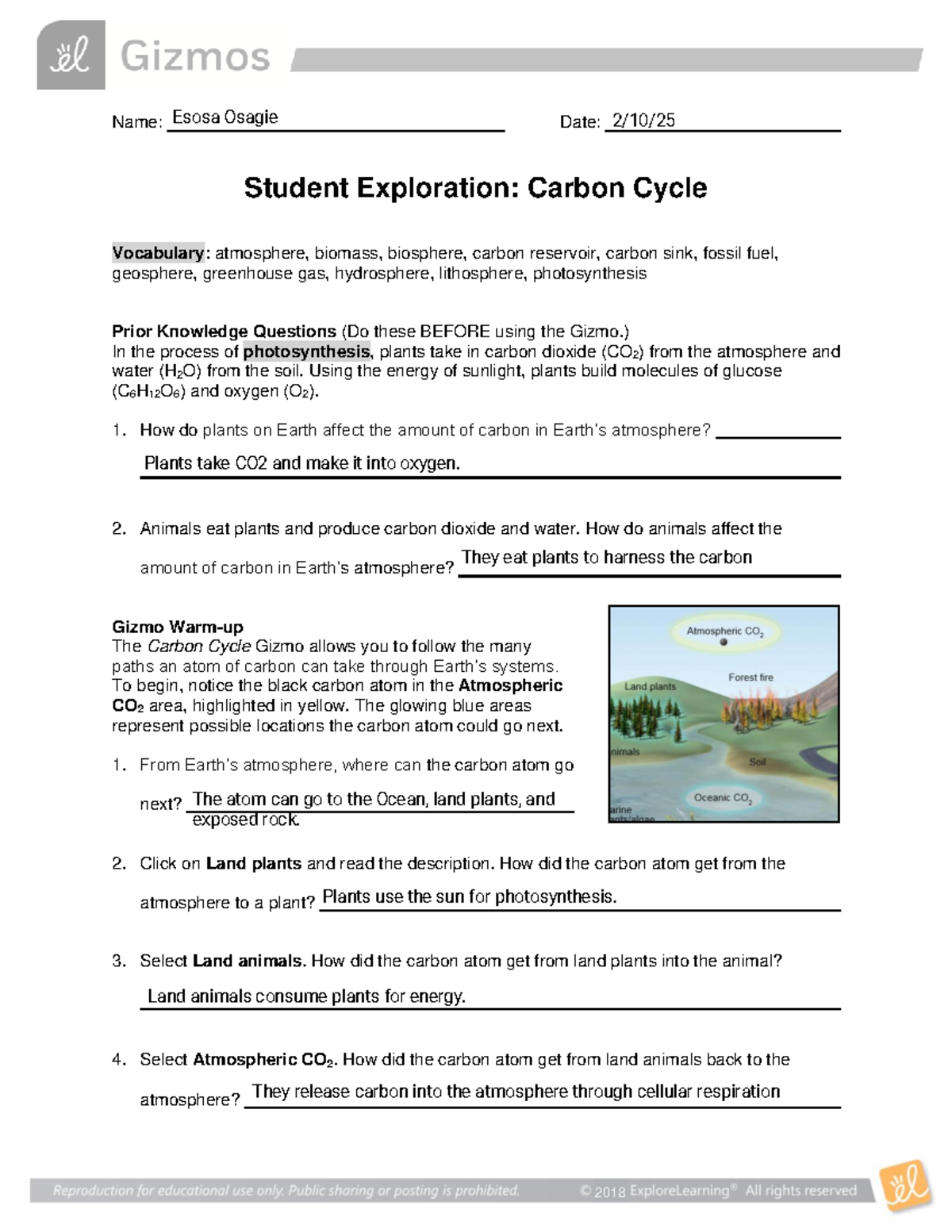 Exploring the Carbon Cycle: Student Guide and Gizmo Activities - Studocu