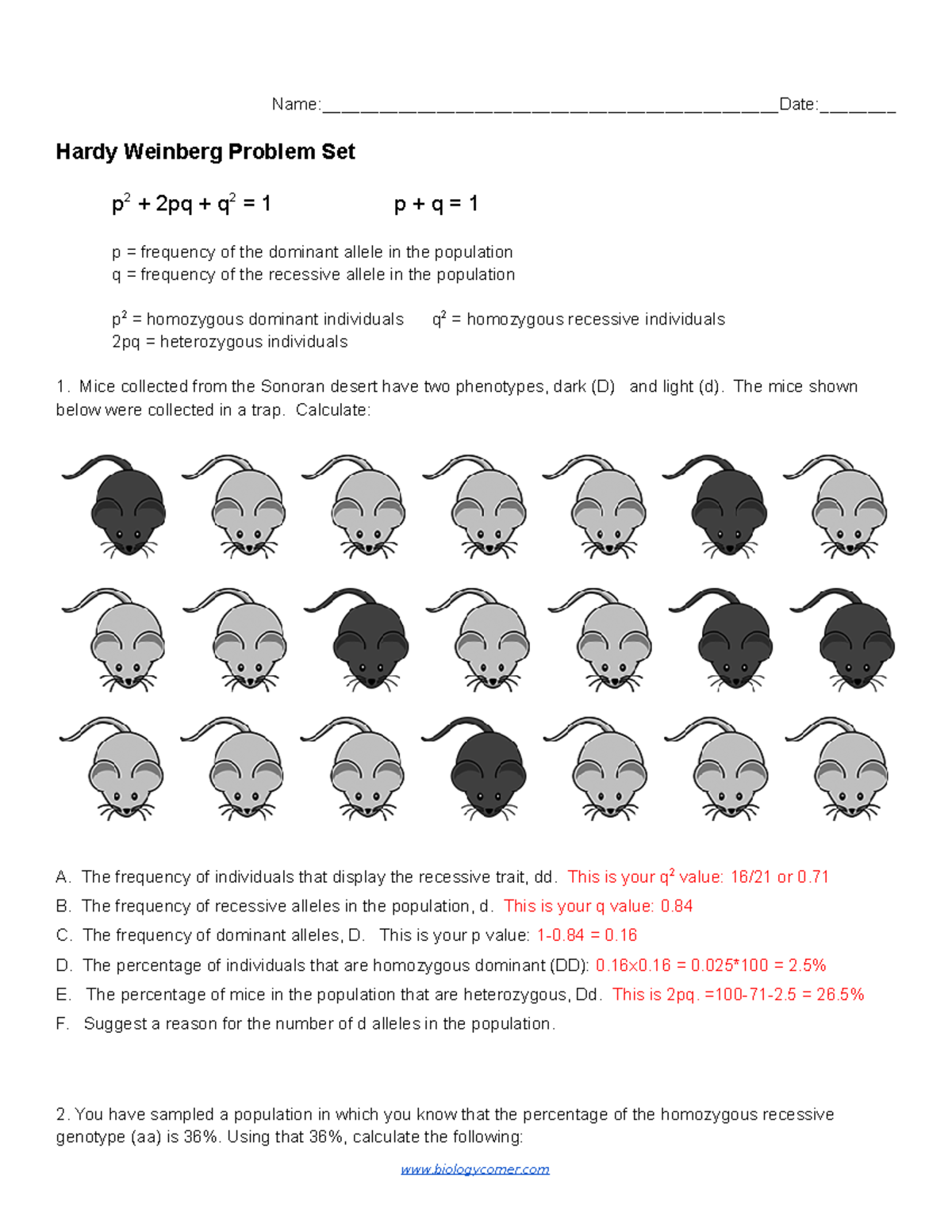 Hardy Weinberg Problem Set Key - Name:________________________________________Date: Hardy ...