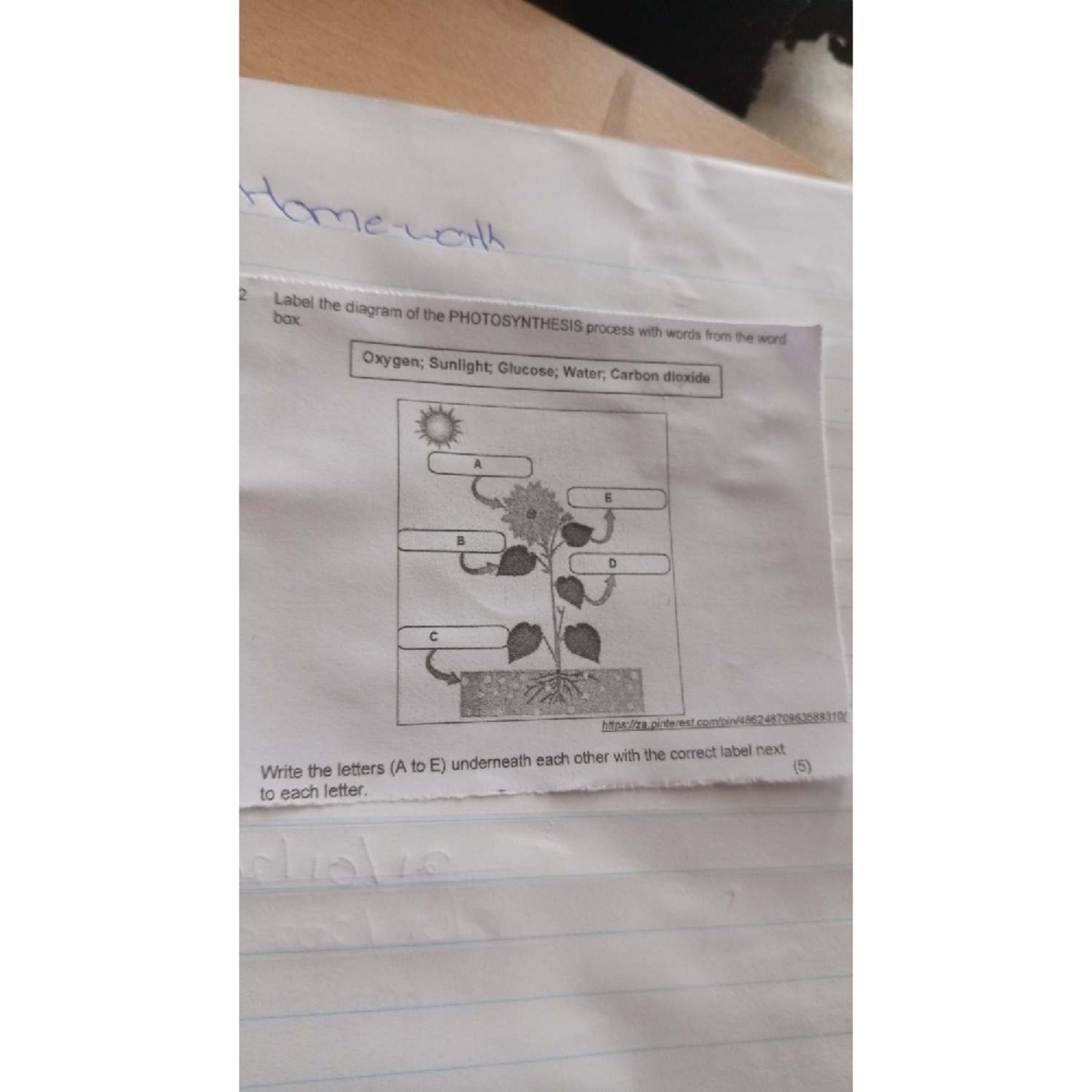 MATHEMATICS GRADE 8 Baseline Assessment 2026 & EMS Tax Overview - Studocu