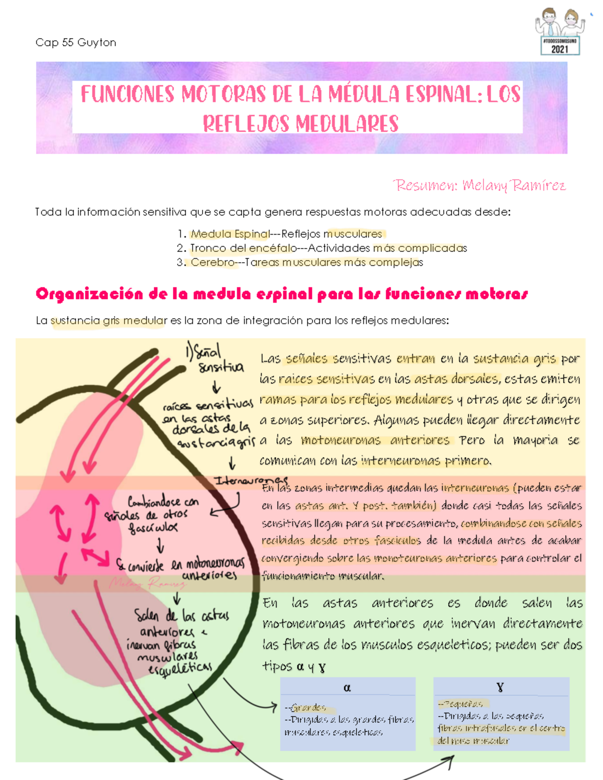 Cap 55 Guyton - resumen y apuntes que puse de mas