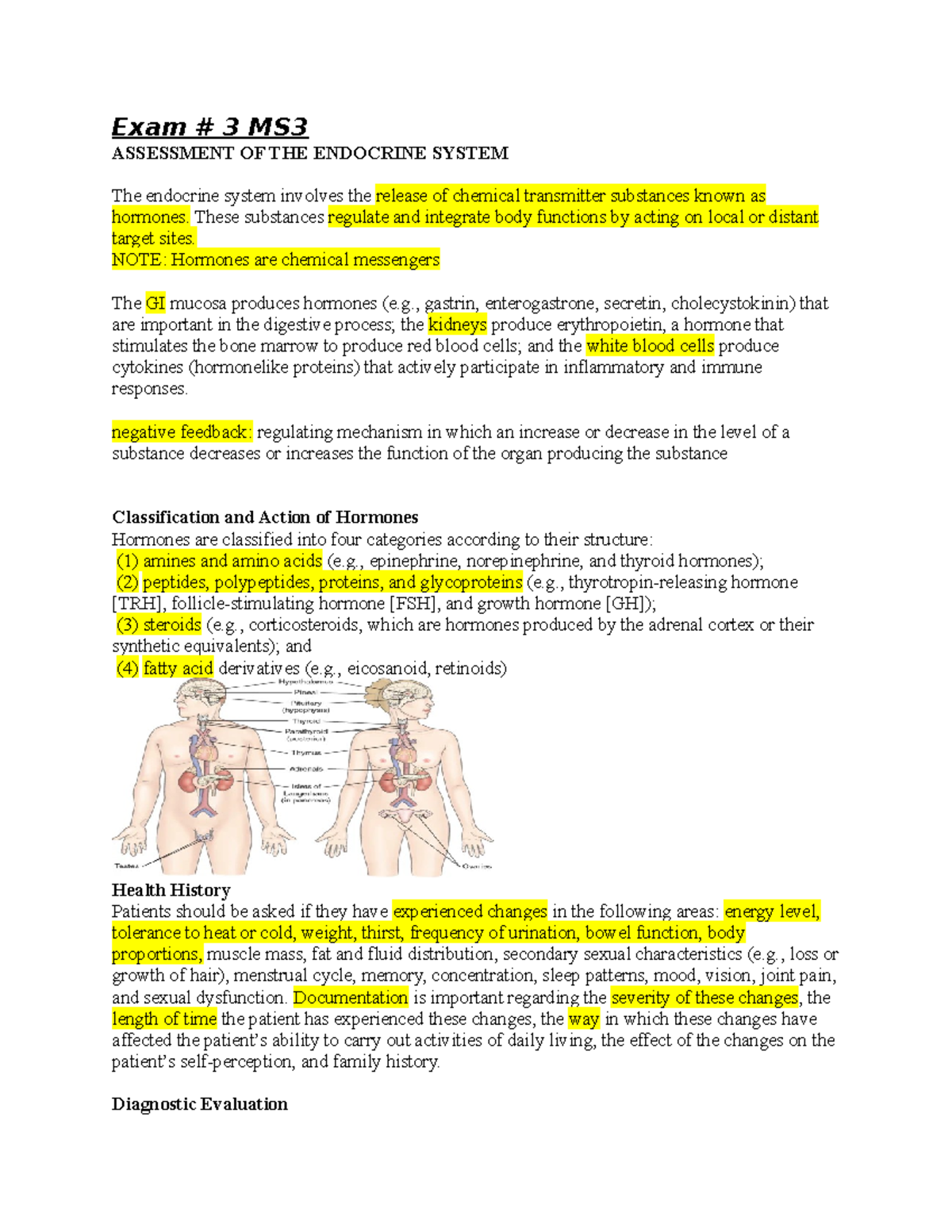 Exam 3 MS3 Study Guide: Assessment of the Endocrine System - Studocu