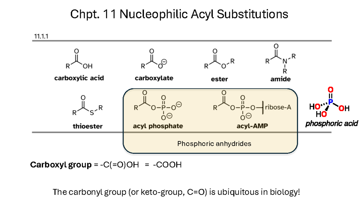 Chpt. 11 Nucleophilic Acyl Substitutions: Mechanisms & Reactions - Studocu