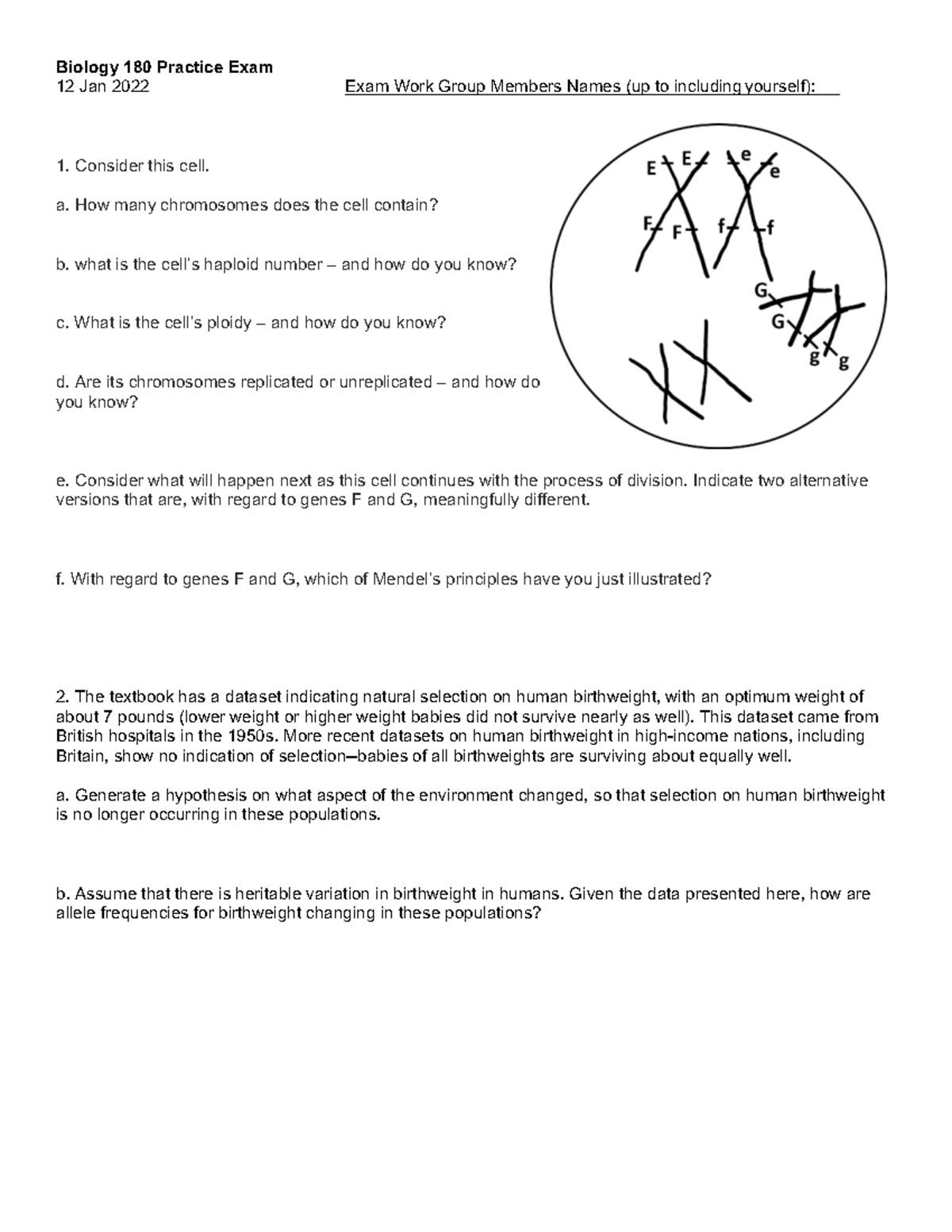 Biol 180 WIN 2023 Practice Exam 2: Cell Division & Birthweight ...