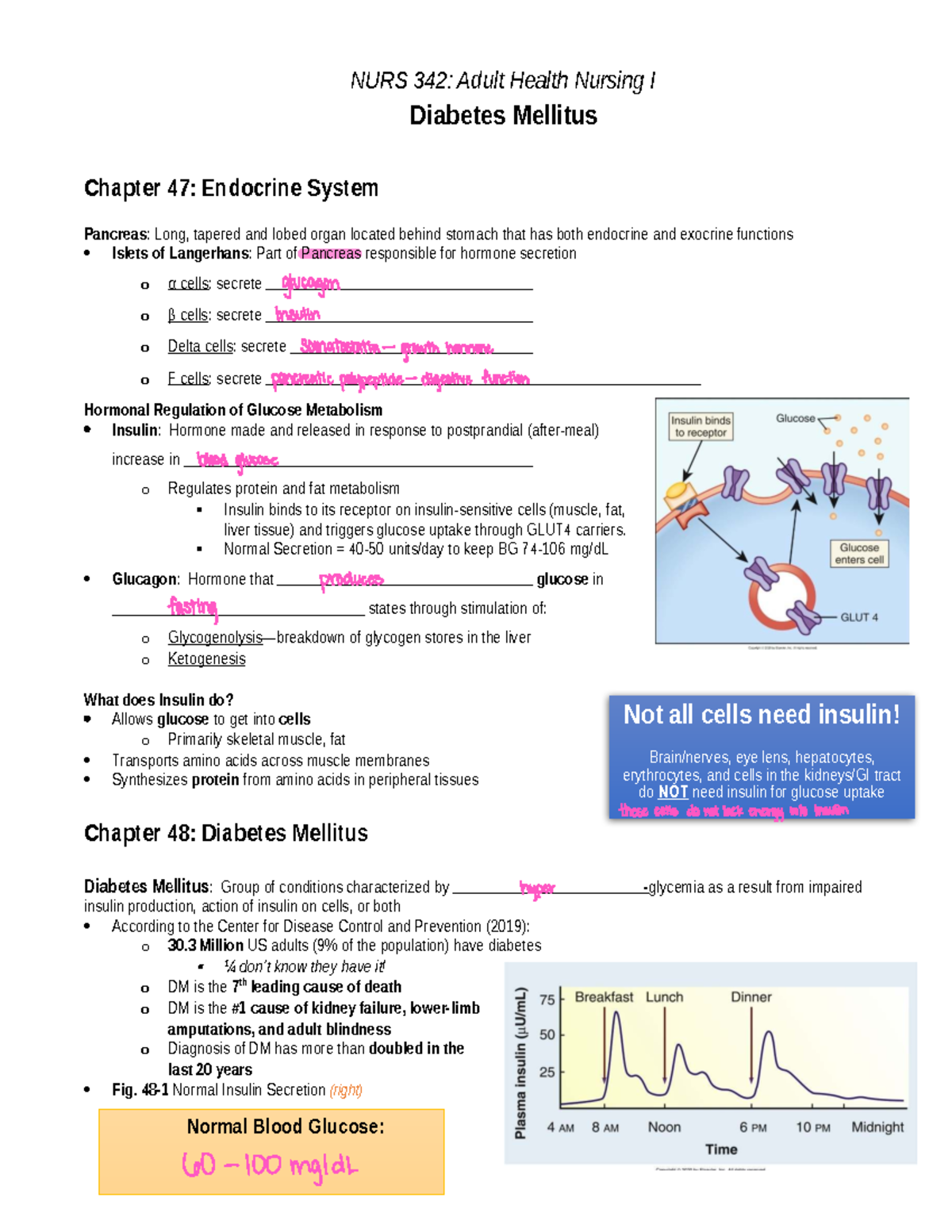 NURS 342: Diabetes Mellitus Management and Nursing Interventions Notes ...