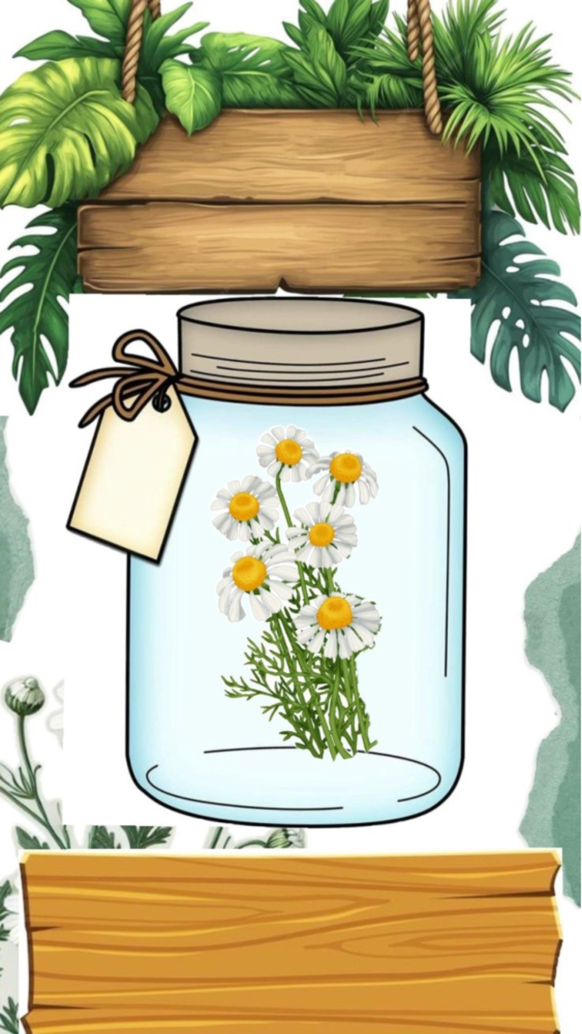 Formato Herbario 4A - J favor, escribe un título claro y descriptivo ...