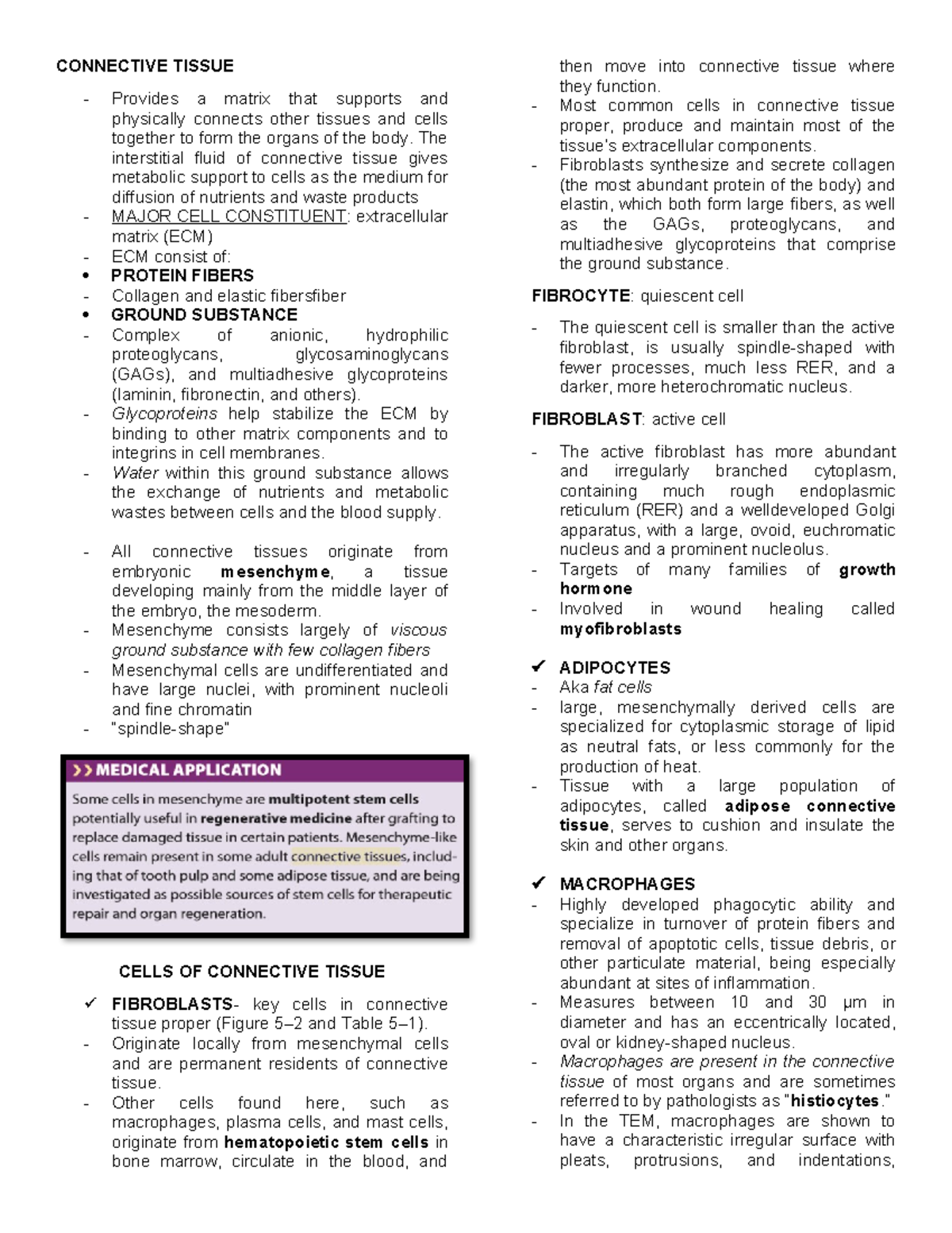 Connective Tissue Overview: Structure, Cells, and Functions - Studocu