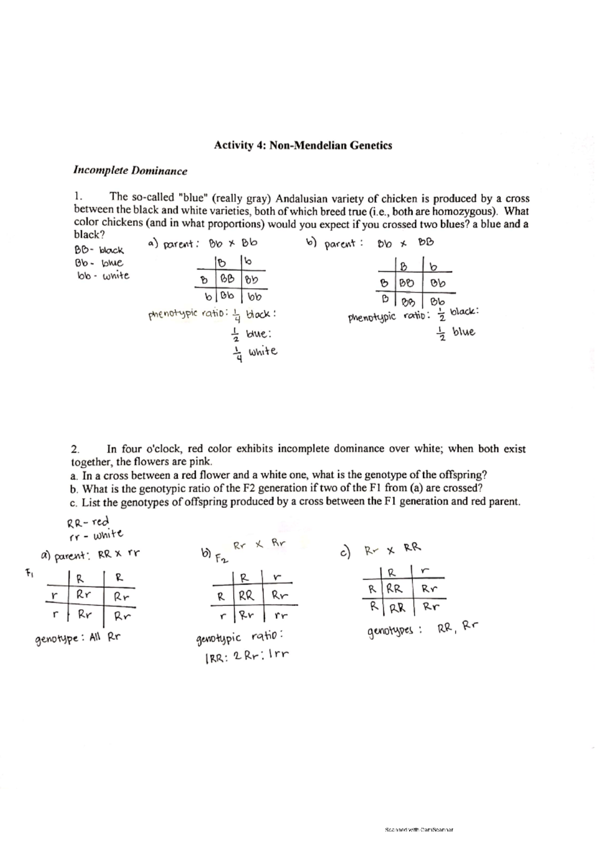 Non Mendelian Genetics Activity - Studocu