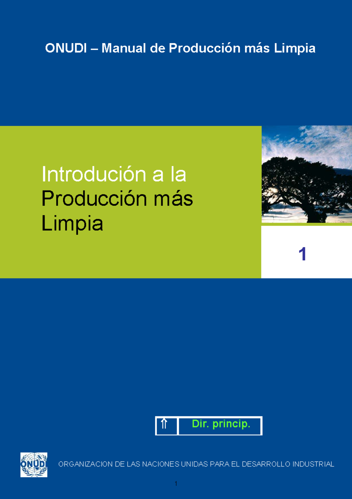ONU DI Manual de Producción Más Limpia: Introducción y Estrategias - Studocu