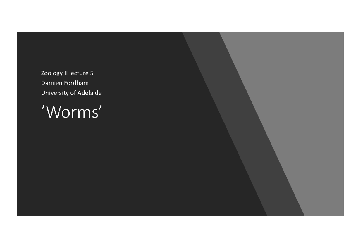 Zoology II Lecture 5: Understanding Worms and Their Body Plans - ’Worms ...