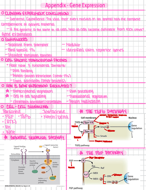 Biomolecule Review Worksheet with answers - Name Date: Professor ...