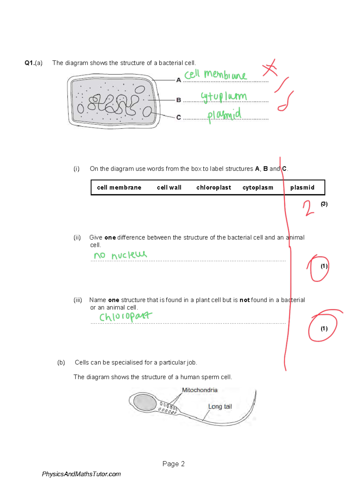 1.1 Cell Structure 1 QP - Biology Exam Questions and Answers - Studocu