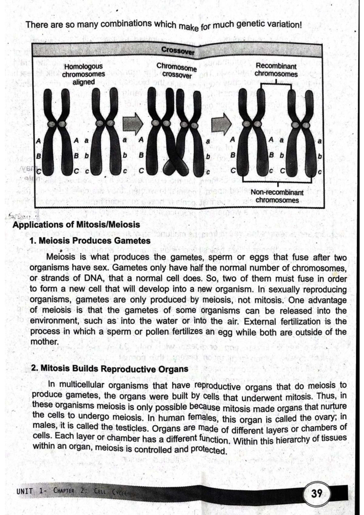 Genetic Variation and Cell Division: Meiosis & Mitosis Insights (BIO ...