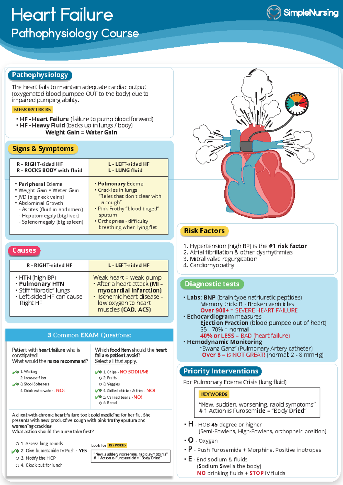 Heart Failure Pathophysiology: Signs, Symptoms & Causes (Patho 101 ...