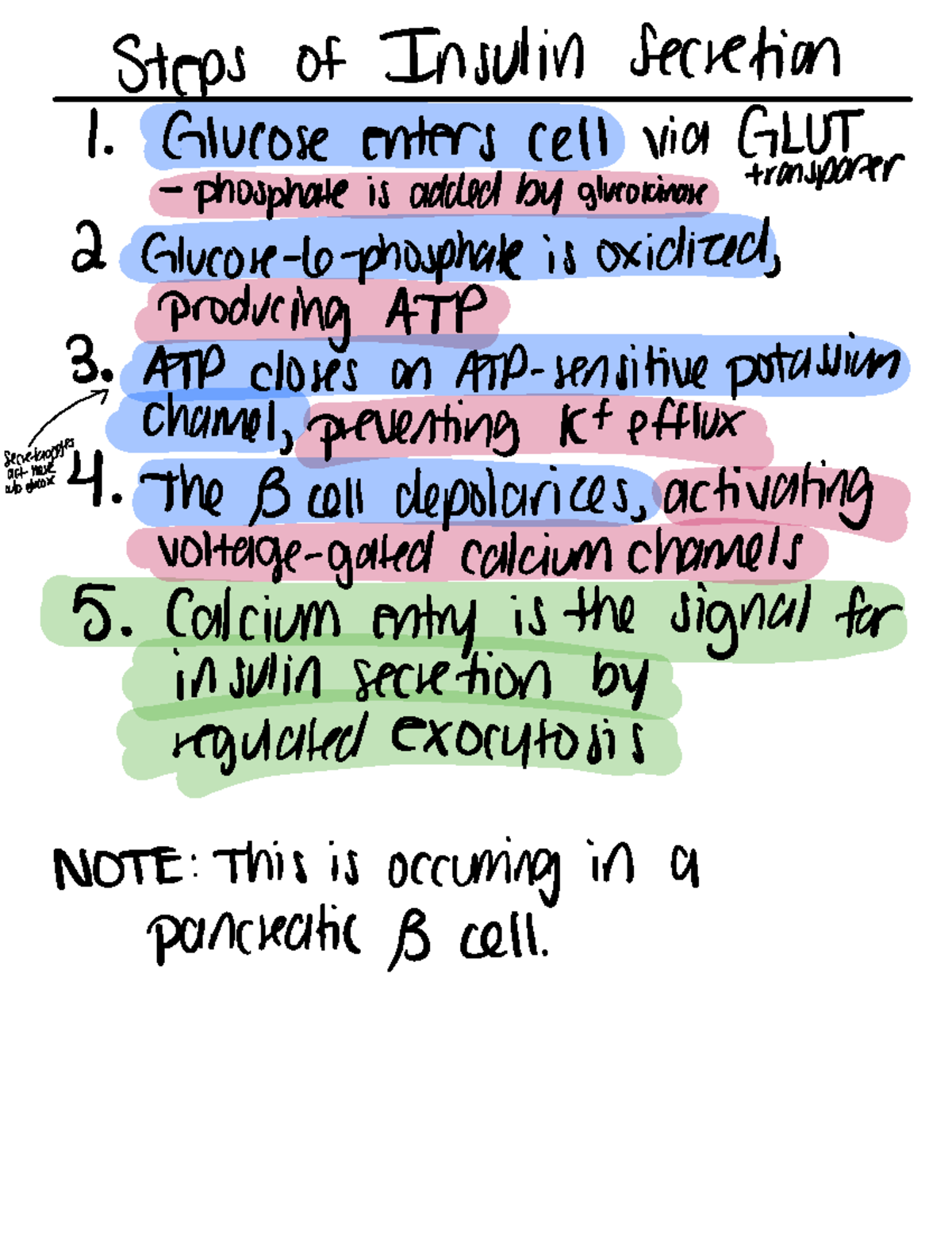 Final Exam Study Guide for MATH 101: Key Concepts and Practice - Steps ...