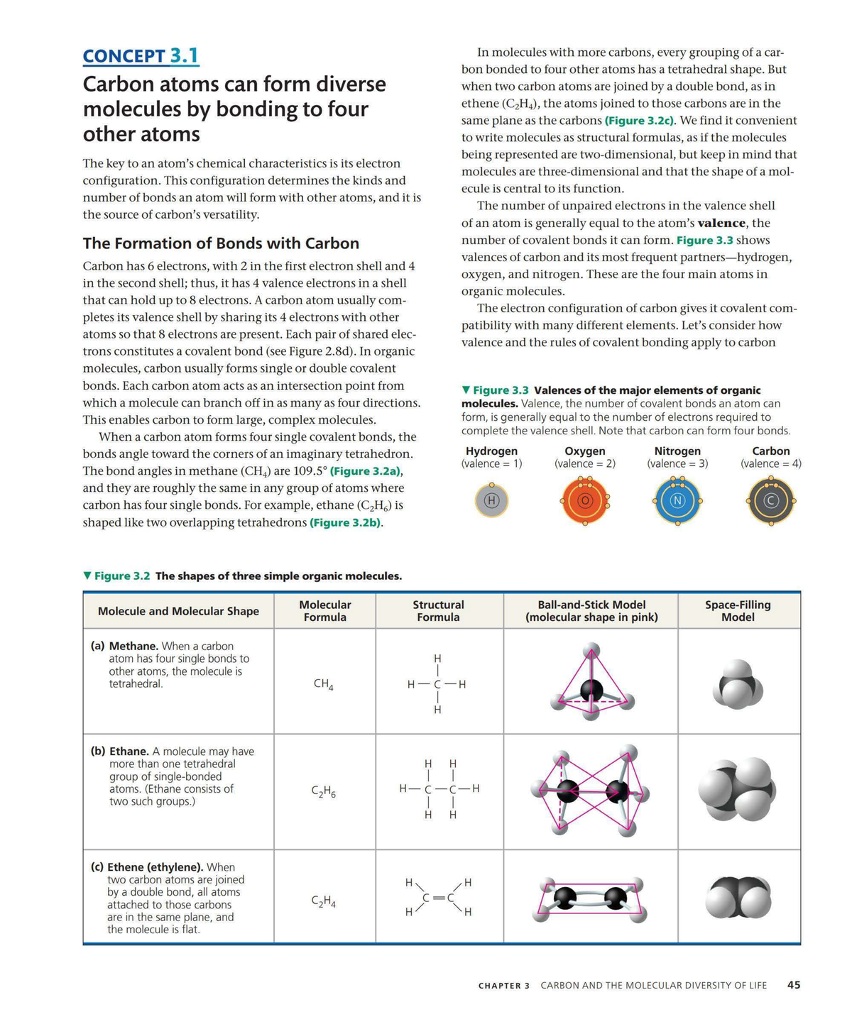 Chapter 3: Carbon and the molecular diversity of life (AP Biology ...