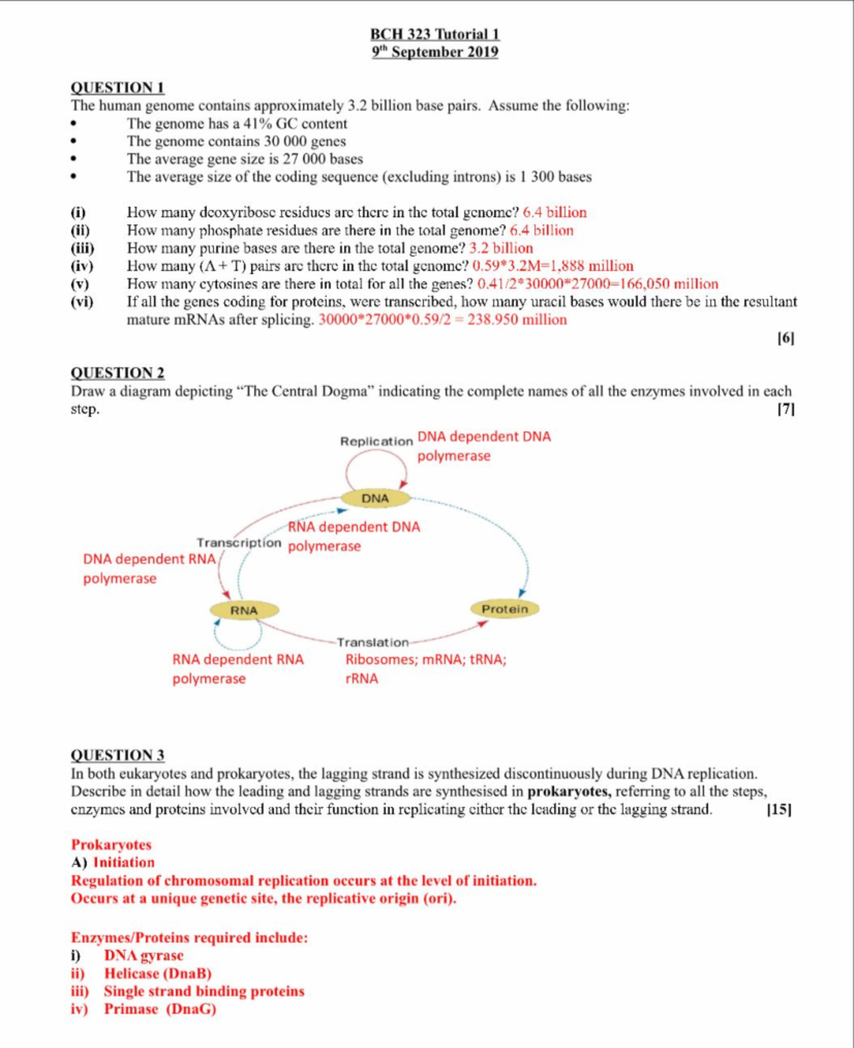 BCH 323 Tut 1 - Tutorial Work Insights and Key Points - Studocu