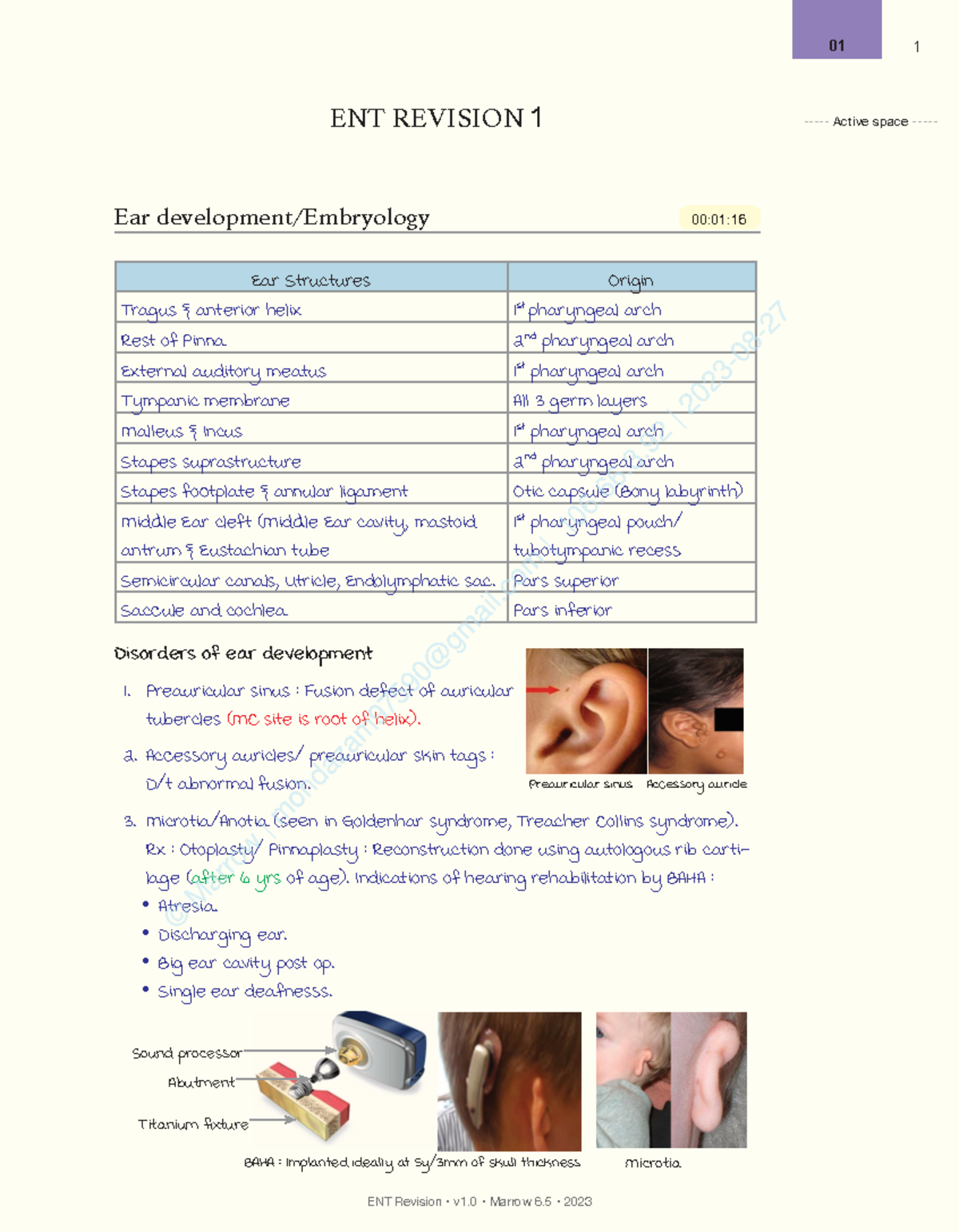 ENT Revision Study Notes E6: Ear Development & Conditions - Studocu
