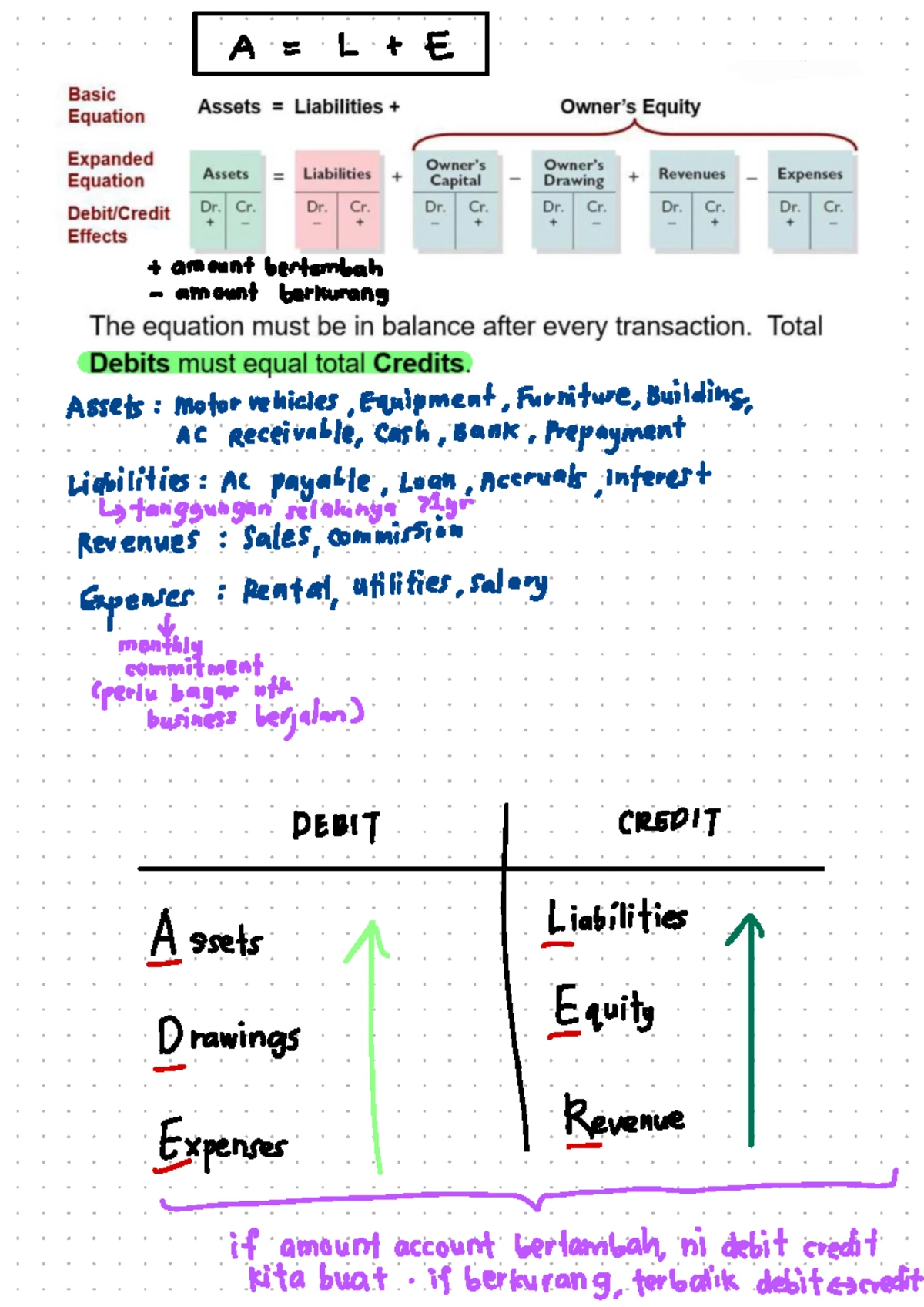 Account Equation and Basic Accounting Principles Notes - Studocu