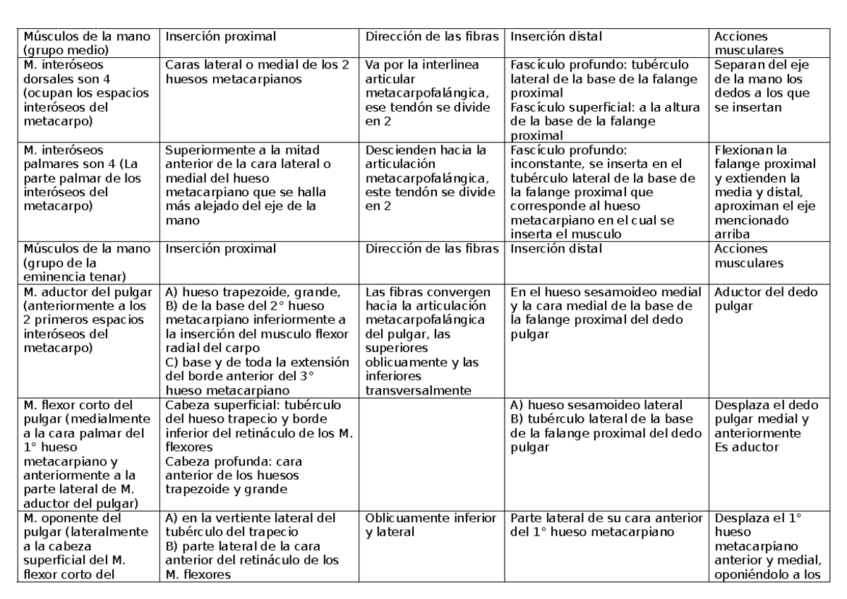 Músculos de la mano: Resumen de interóseos y eminencia tenar - Studocu