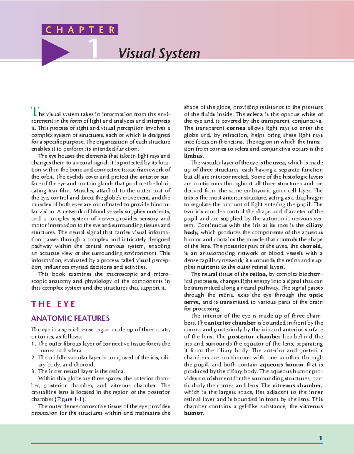 Clinical Anatomy of the Visual System: Chapter 1 Overview - Studocu