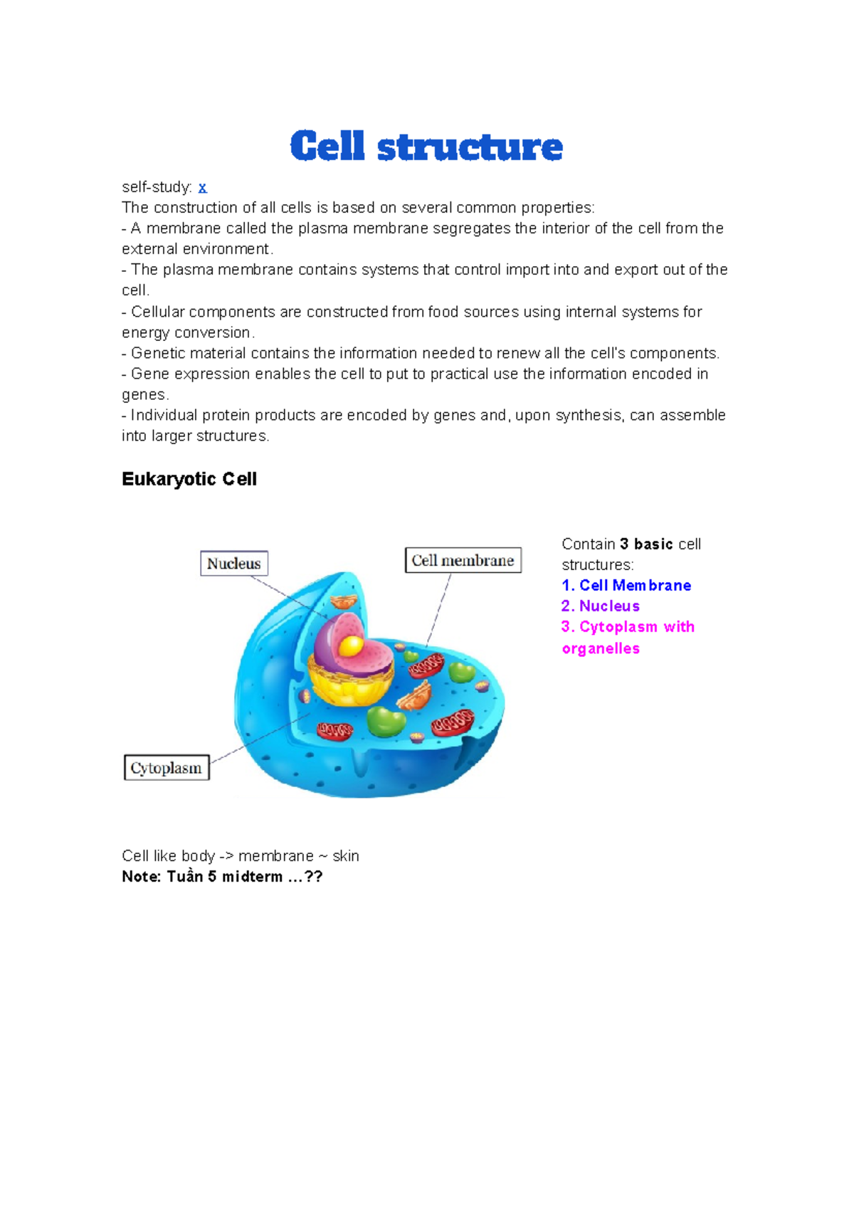 Cell Structure Overview: Key Concepts in Eukaryotic and Prokaryotic ...