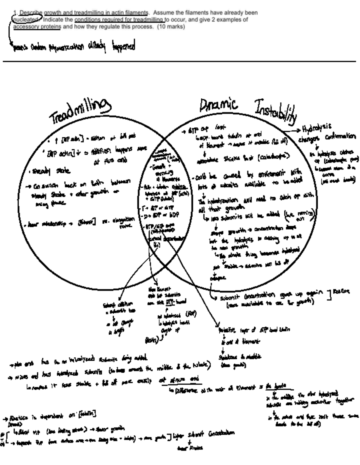 Lecture 4-6: Dynamic Instability and Polymerization in Cytoskeleton ...