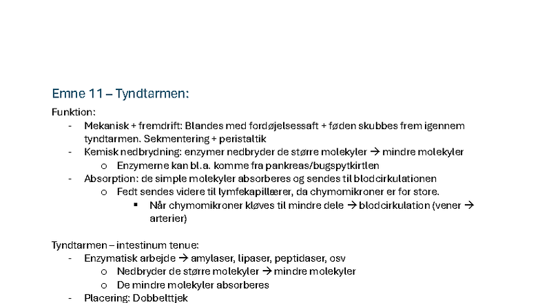 Anatomi - Tyndtarm: Funktion, Struktur og Absorption i Tyndtarmen - Studocu