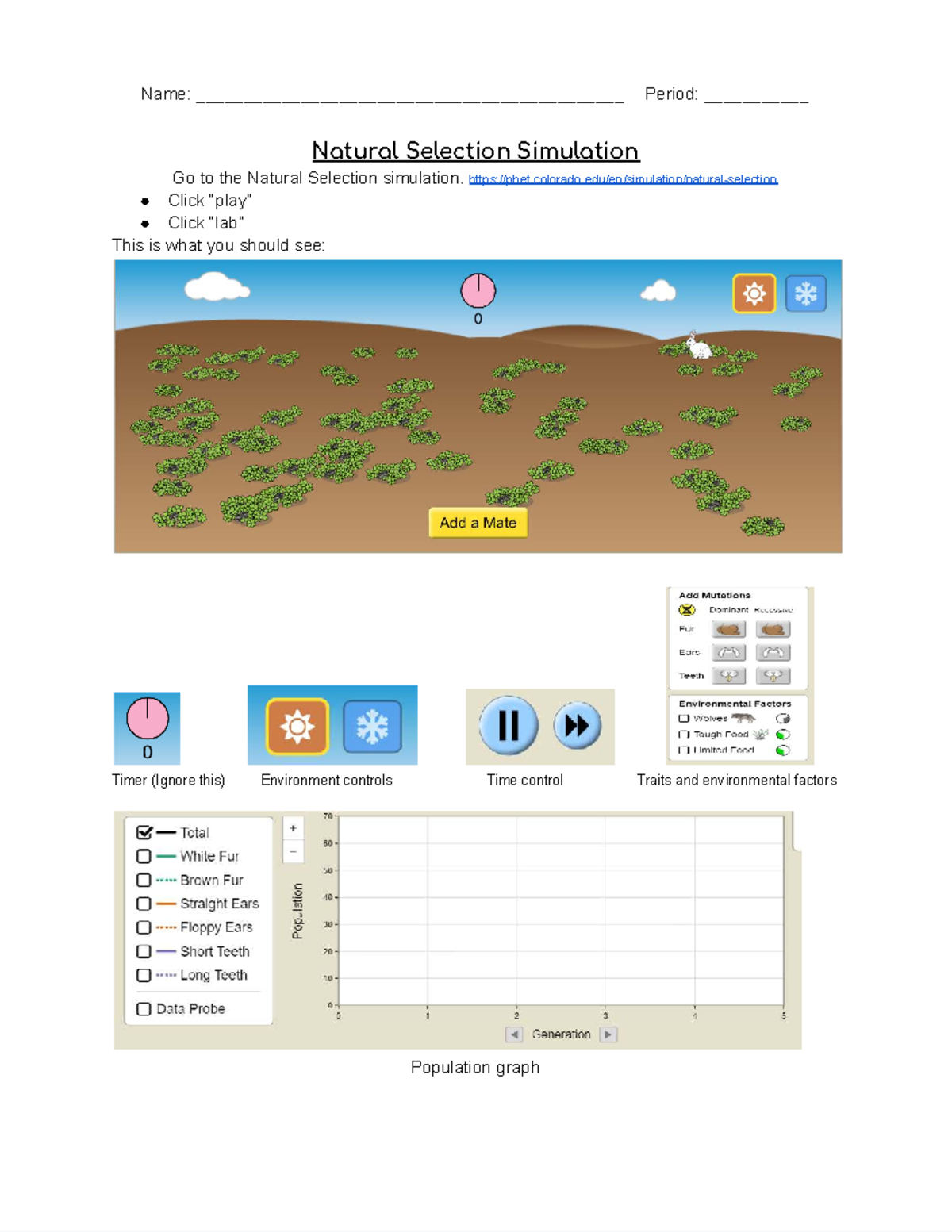 5.3 Natural Selection Simulation Worksheet: Exploring Tooth Adaptations ...