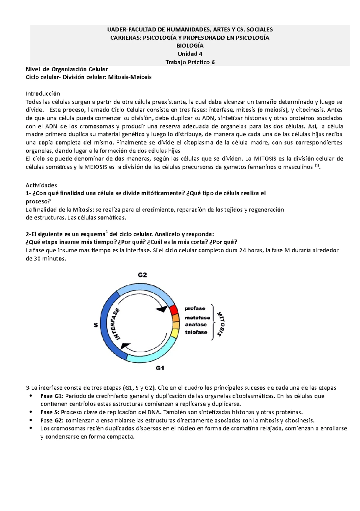 Hoja De Trabajo Sobre El Ciclo Celular Y La Mitosis El Ciclo Celular