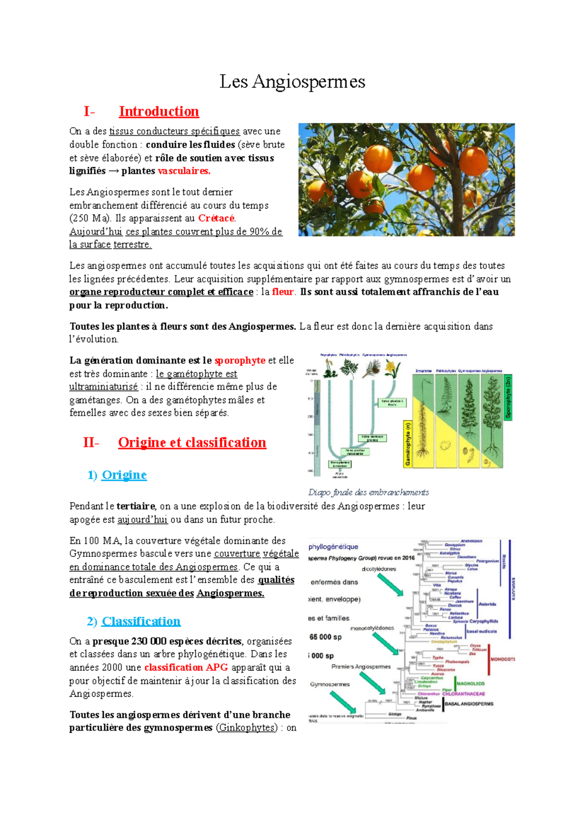 Les Angiospermes : Biologie Végétale L1 - Introduction et ...