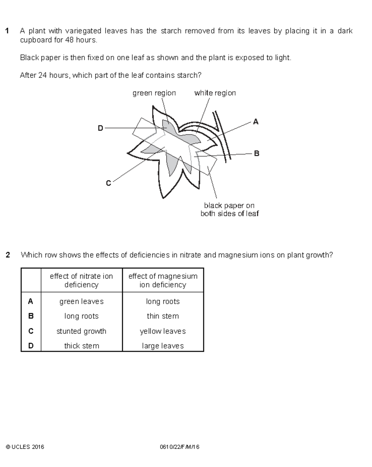 Plant Nutrition Core - Photosynthesis and Leaf Structure (Biology 101 ...
