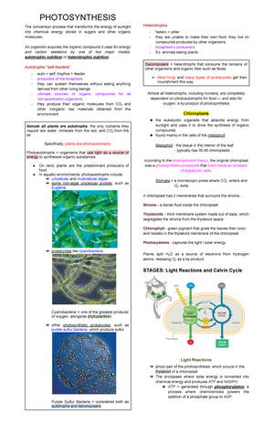 Original Transes Template - Gross Anatomy AY 1st Shifting Exam Title of ...