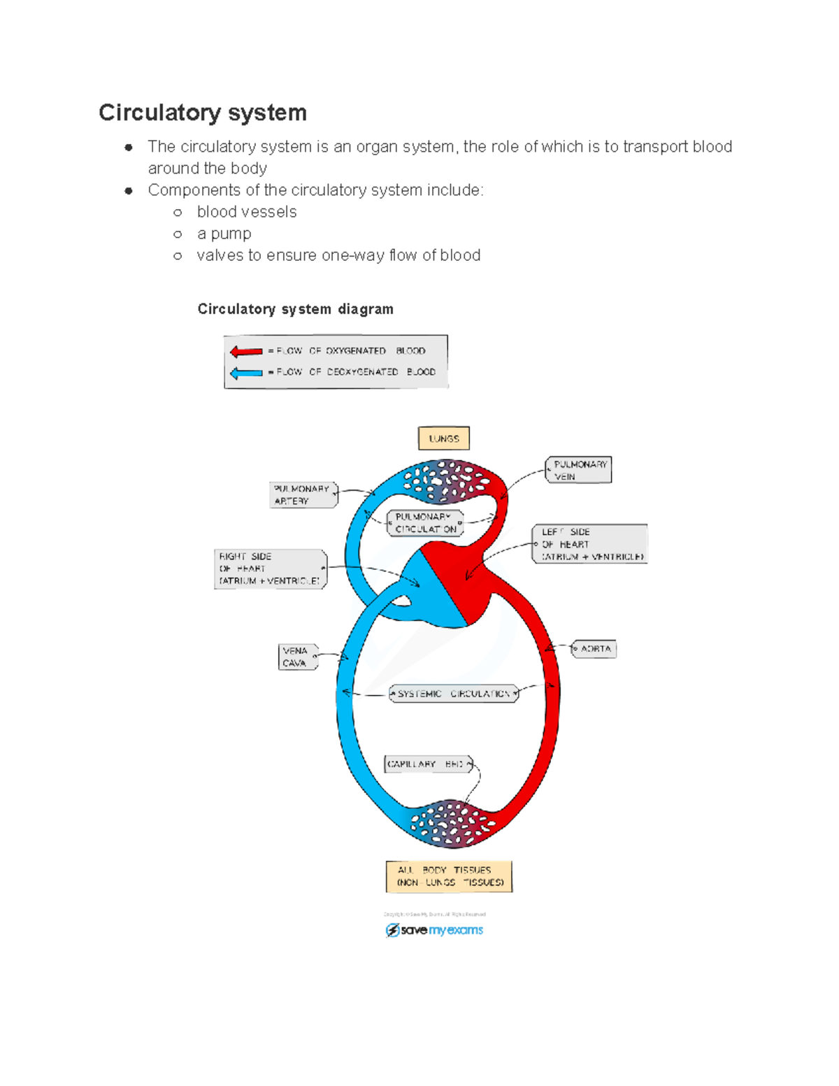 Topic 9: Circulatory System Overview and Key Concepts - Studocu