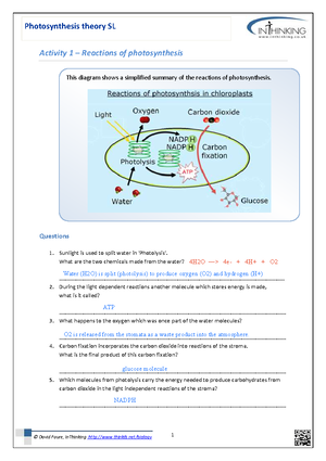 Cells - Building Blocks of Living Things - Reading Comprehension ...