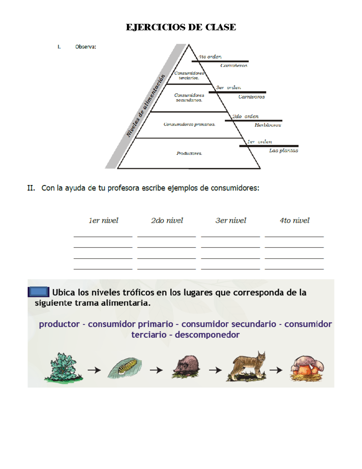 Act cadenas troficas - clase - Ciencias de la tierra - EJERCICIOS DE ...