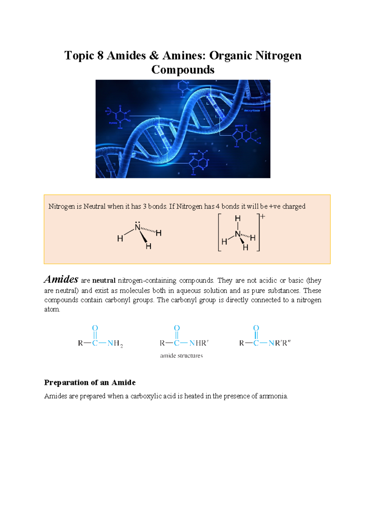 Topic 8 Amines and Amides - Topic 8 Amides & Amines: Organic Nitrogen ...