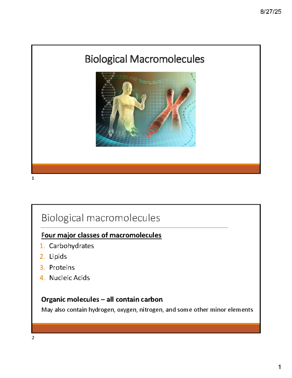 BIO 1121-1 Lecture Notes: Overview of Biological Macromolecules - Studocu