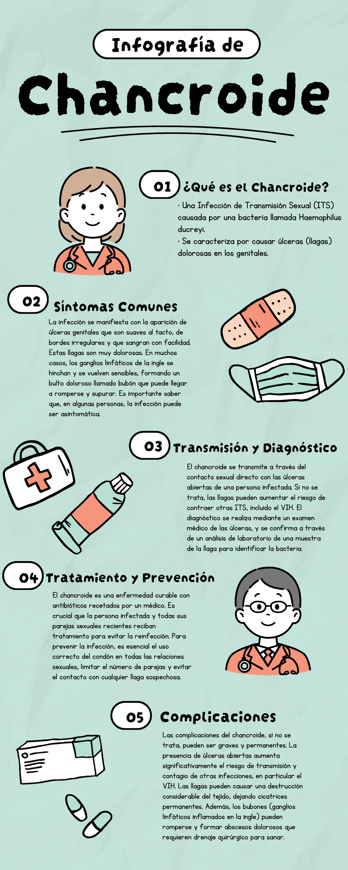 Chancroide: Infección de Transmisión Sexual y Tratamiento (Anatomía ...