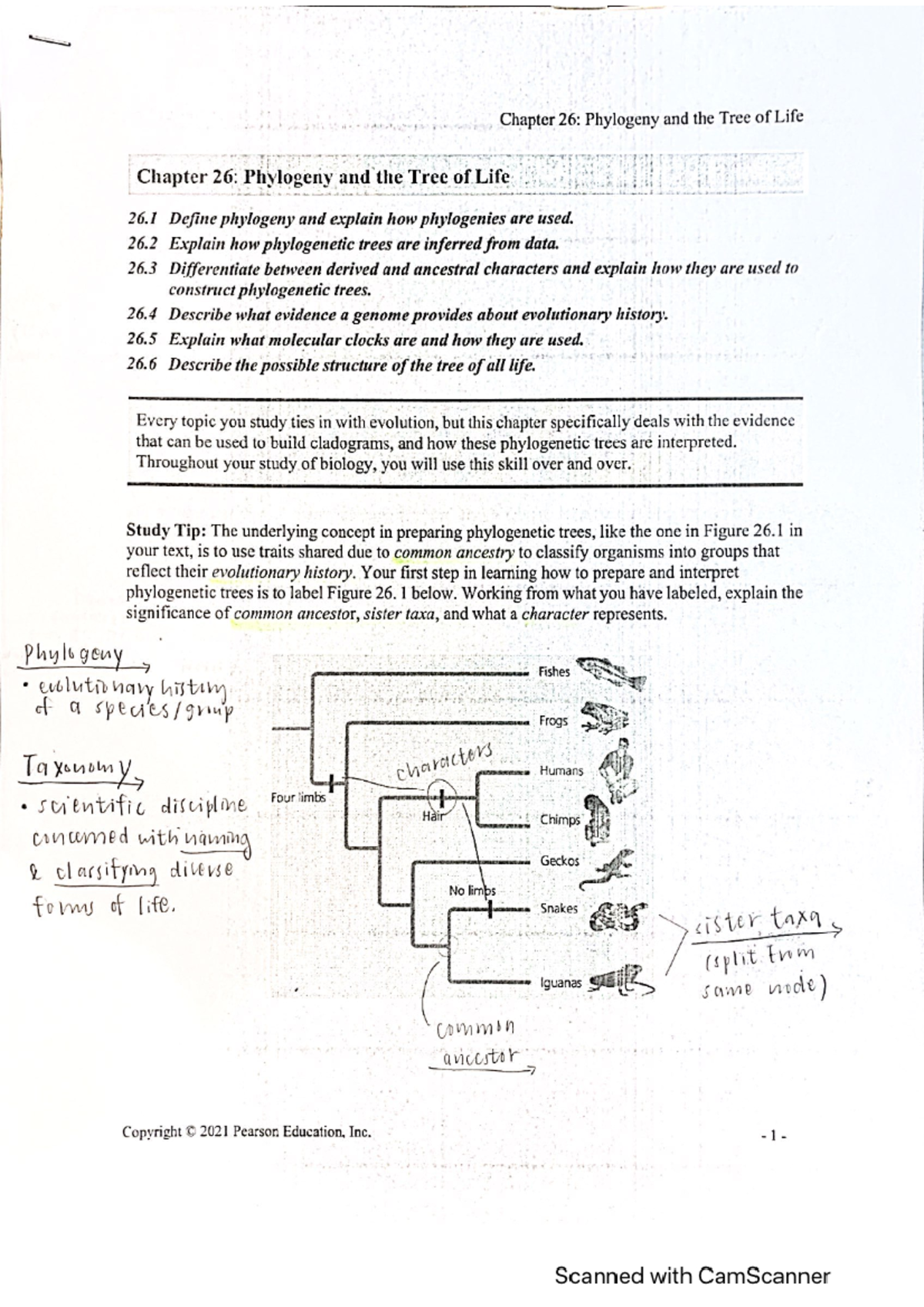 Chapt 26 - Phylogeny and tree of life - Chapter 26: Phylogeny and the Tree of Life Chapter 26 ...