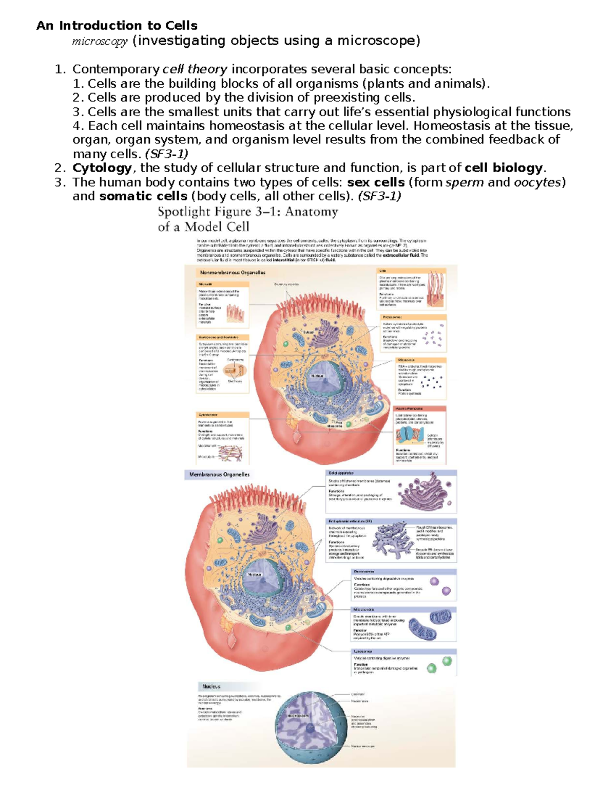 A&P Chapter 3: Introduction to Cells and Microscopy Notes - Studocu