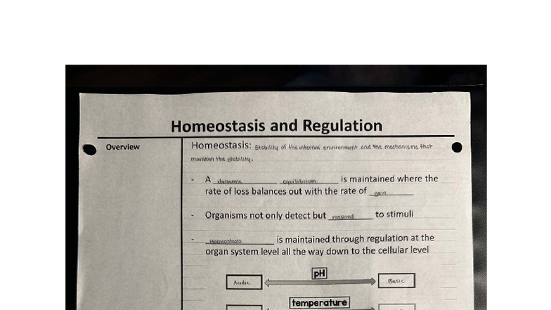 Homeostasis and Regulation Overview: Mechanisms and Feedback Loops ...