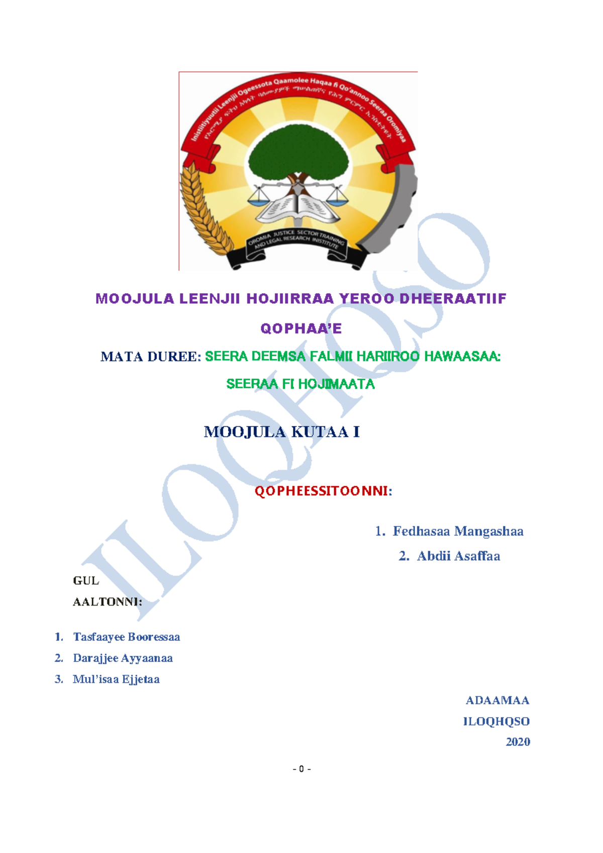 Seera Deemsa Falmii Hariiroo Hawaasaa: Qorannoo fi Qopheessaa (SDFHH ...