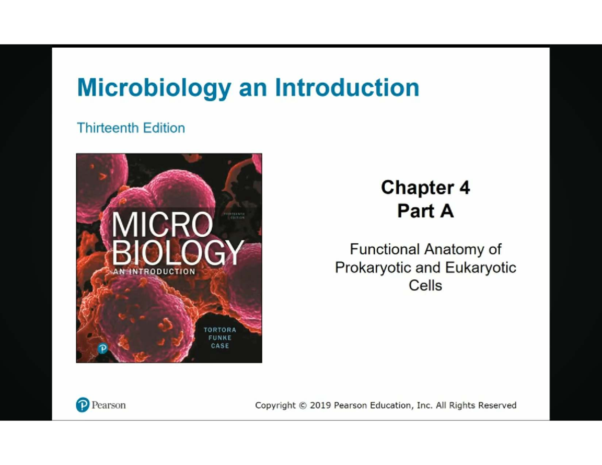 Microbiology 13th Ed. Chapter 4: Prokaryotic vs. Eukaryotic Cells - Studocu