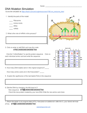 Experiment 1 and 2 - Guide Questions ( Answers) - EXPERIMENT 1 and 2 ...