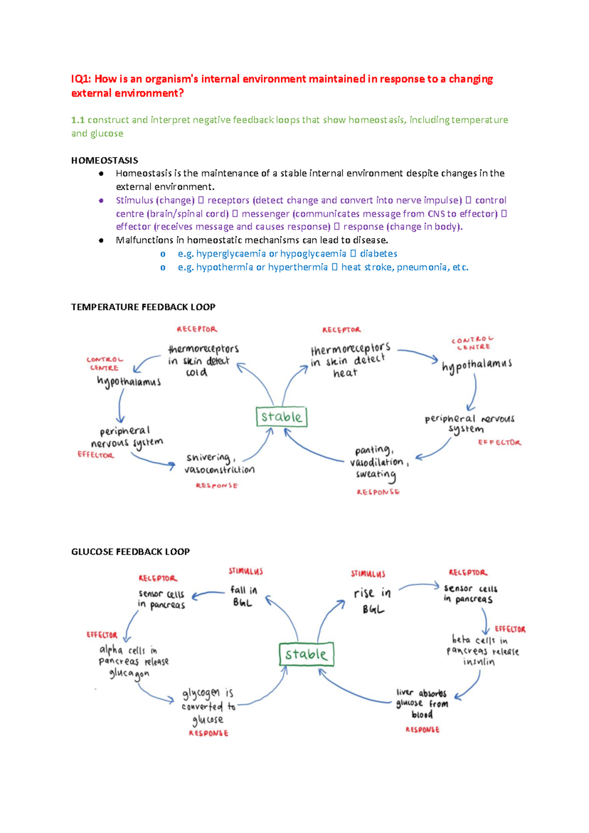 2019 BIO Module 8 Lecture Notes: Homeostasis & Non-infectious Diseases ...