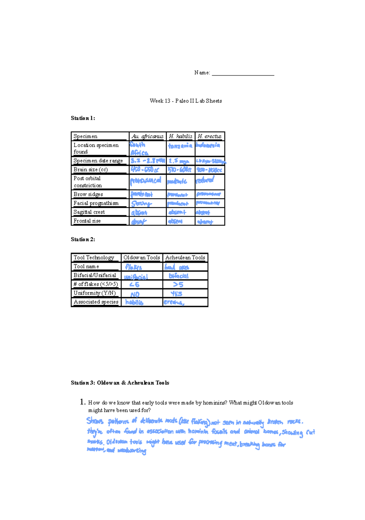 ANTH 215 Lab: Week 13 Paleo II - Hominin Tools & Specimen Analysis - Studocu