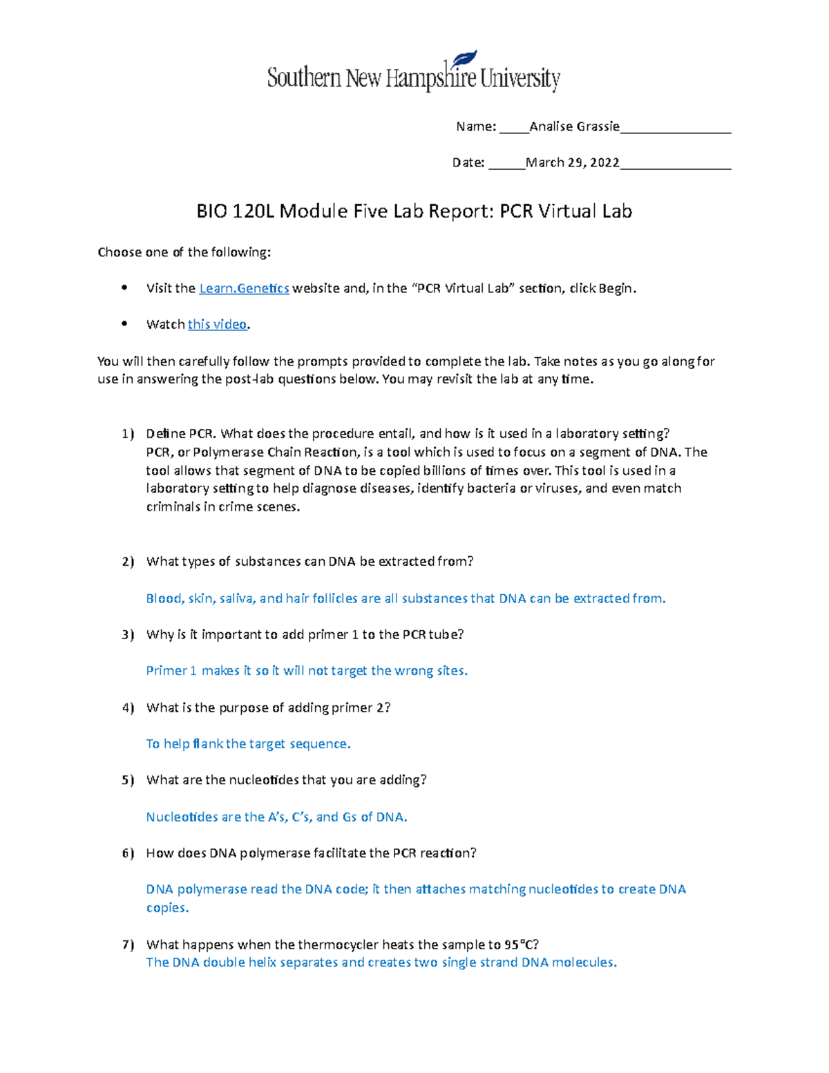 BIO 120L M5 PCR Virtual Lab Report Insights and Analysis - Studocu