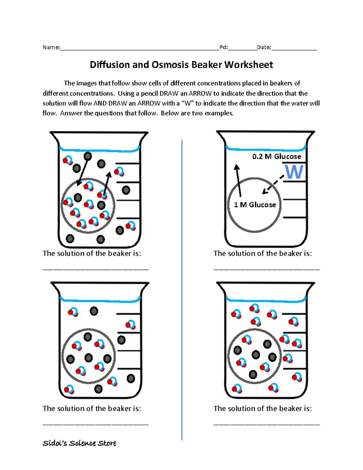 Osmosis & Diffusion Worksheet (Biology 101) - Learning Directions - Studocu