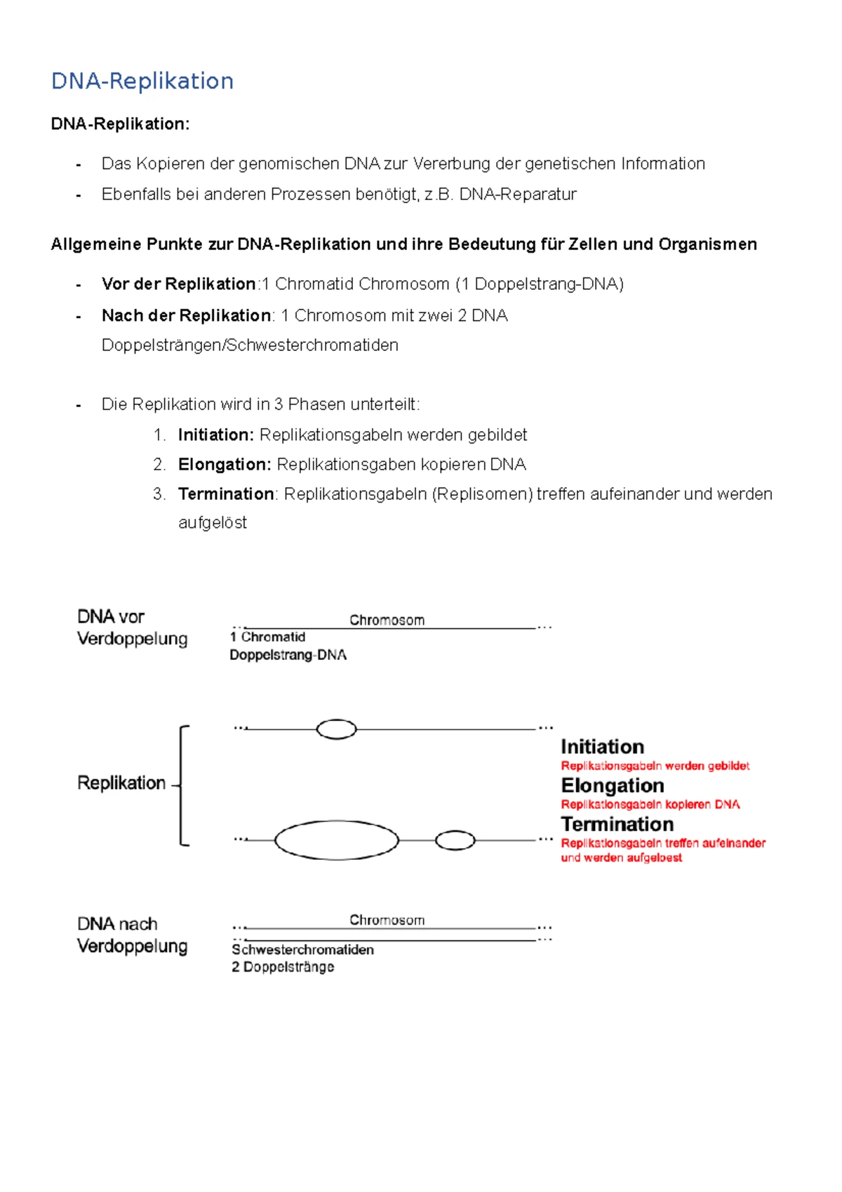 Biologie Klausur DNA, Replikation - Biologie Klausur 3 Leistungskurs ...