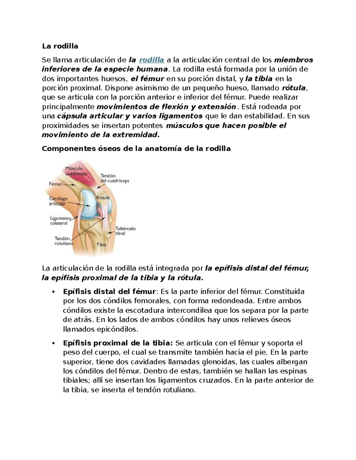 Lca - informe completo de anatomía de rodilla , lesión lca y operación ...